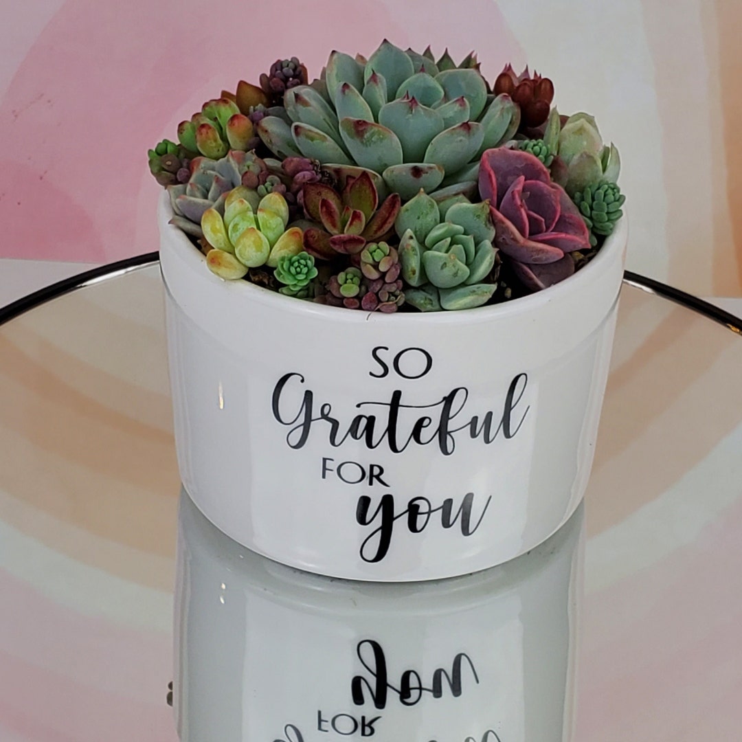 Custom Grateful Message Succulent Planter Live Succulents Ceramic Quote ...