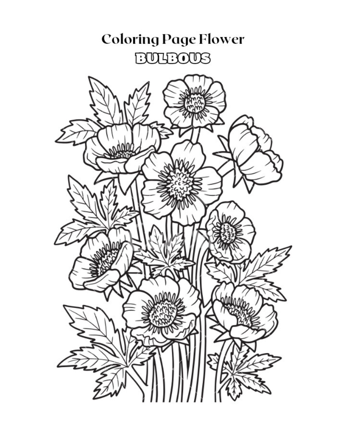 Flower Colouring - Etsy