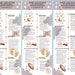 3 Unique Infographics for All Stages of Baby Development: 0-6 Months, 6 ...