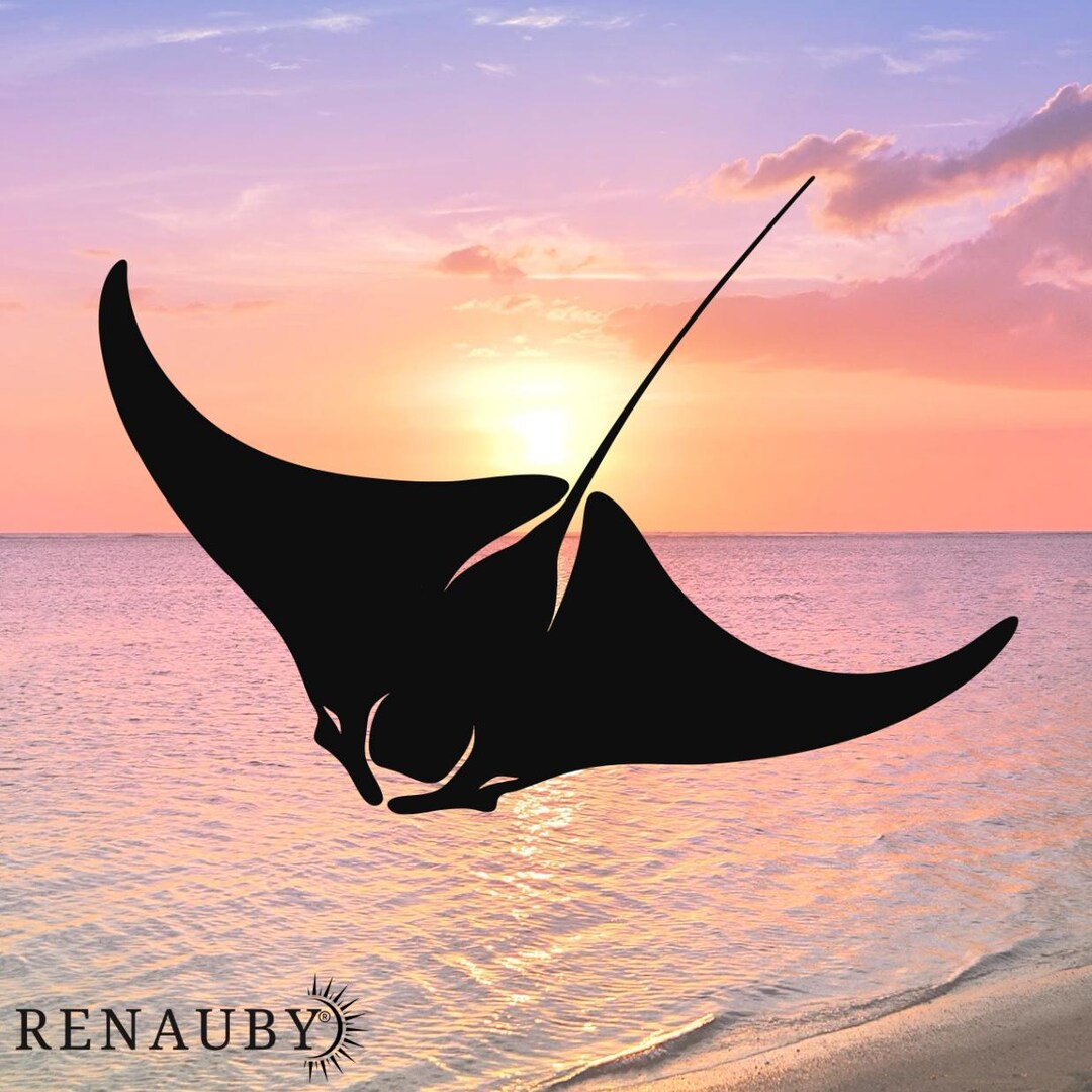 Stingray Vinyl Car Decal | Ocean Animal Car Sticker | Minimalist Marine ...