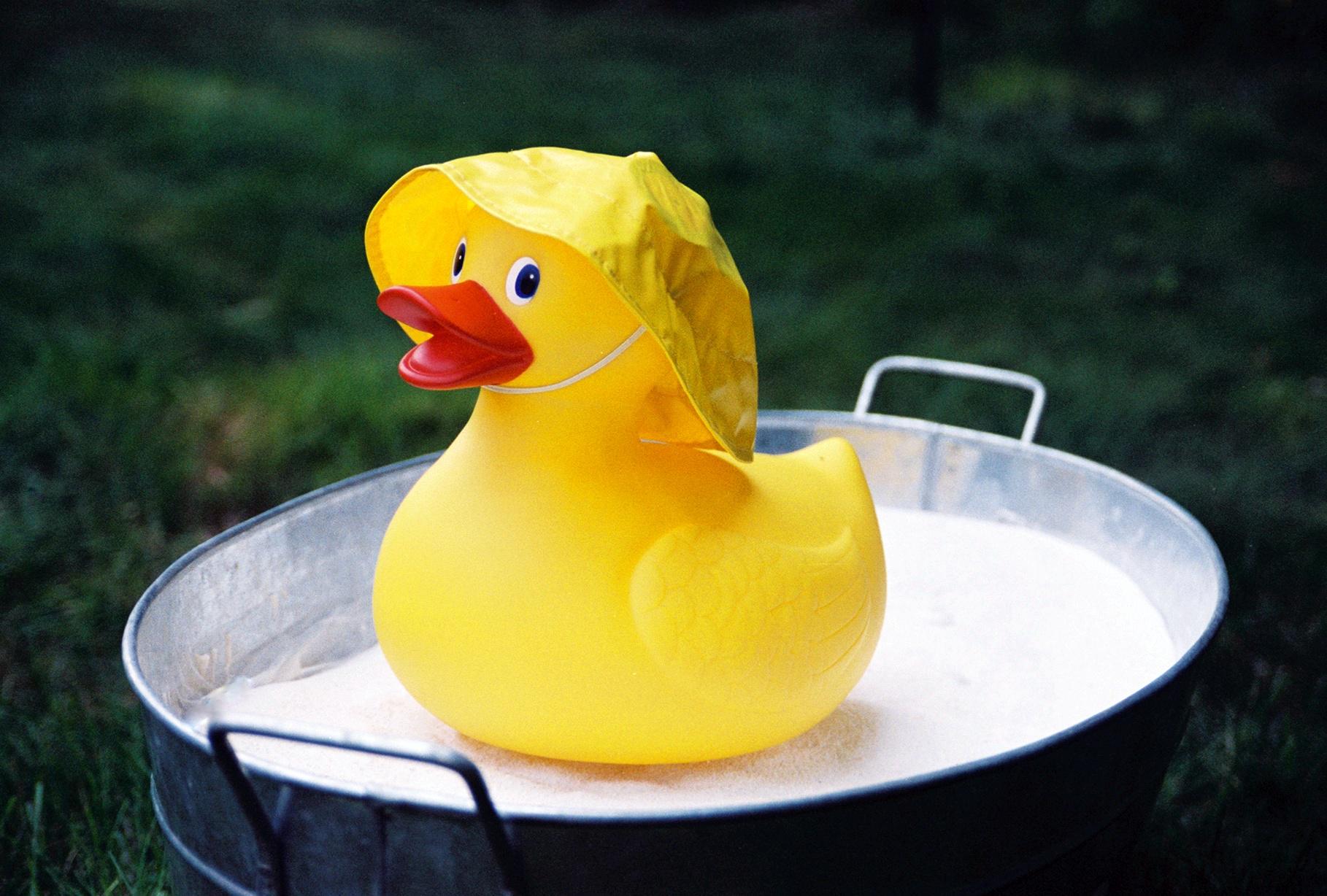 603 5x7 Matted Rubber Ducky Signed Photography Photograph Print Baby ...