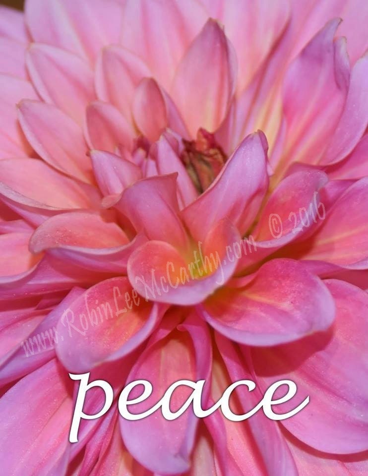 939 D1010 Peace Greeting Card With a Matching Envelope Perfect Blank ...