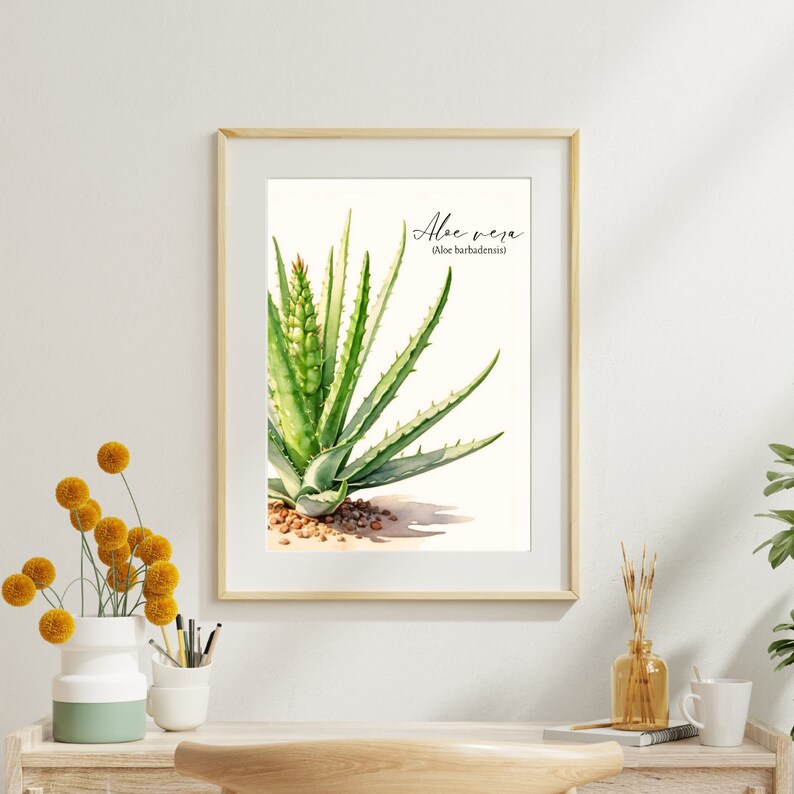 Aloe Vera PRINTABLE Minimalist Botanical Watercolor Painting Digital ...
