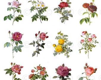 Water slide decals | Etsy