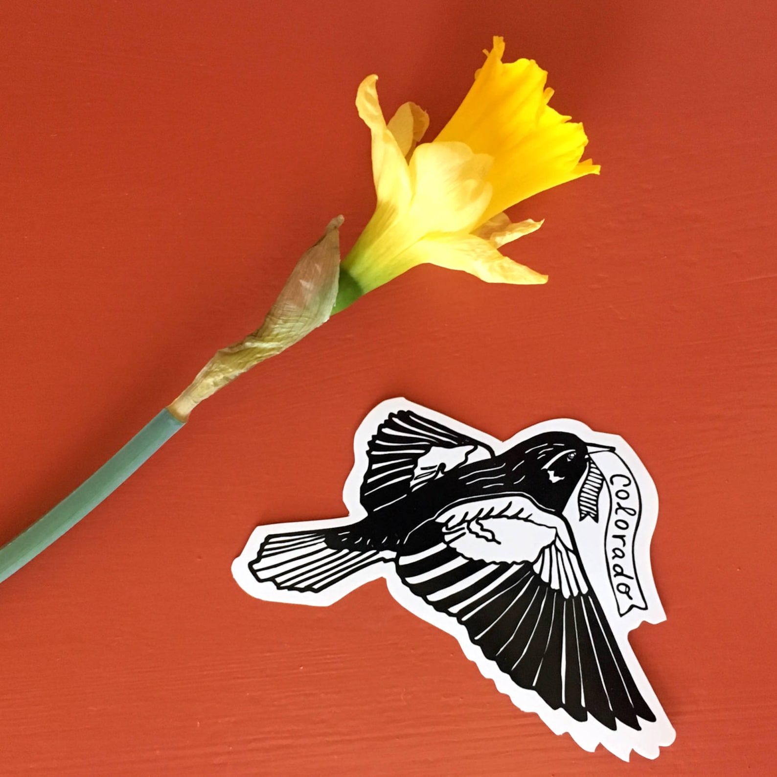 Colorado Sticker Bird Sticker Lark Bunting Sticker Bird Illustration ...