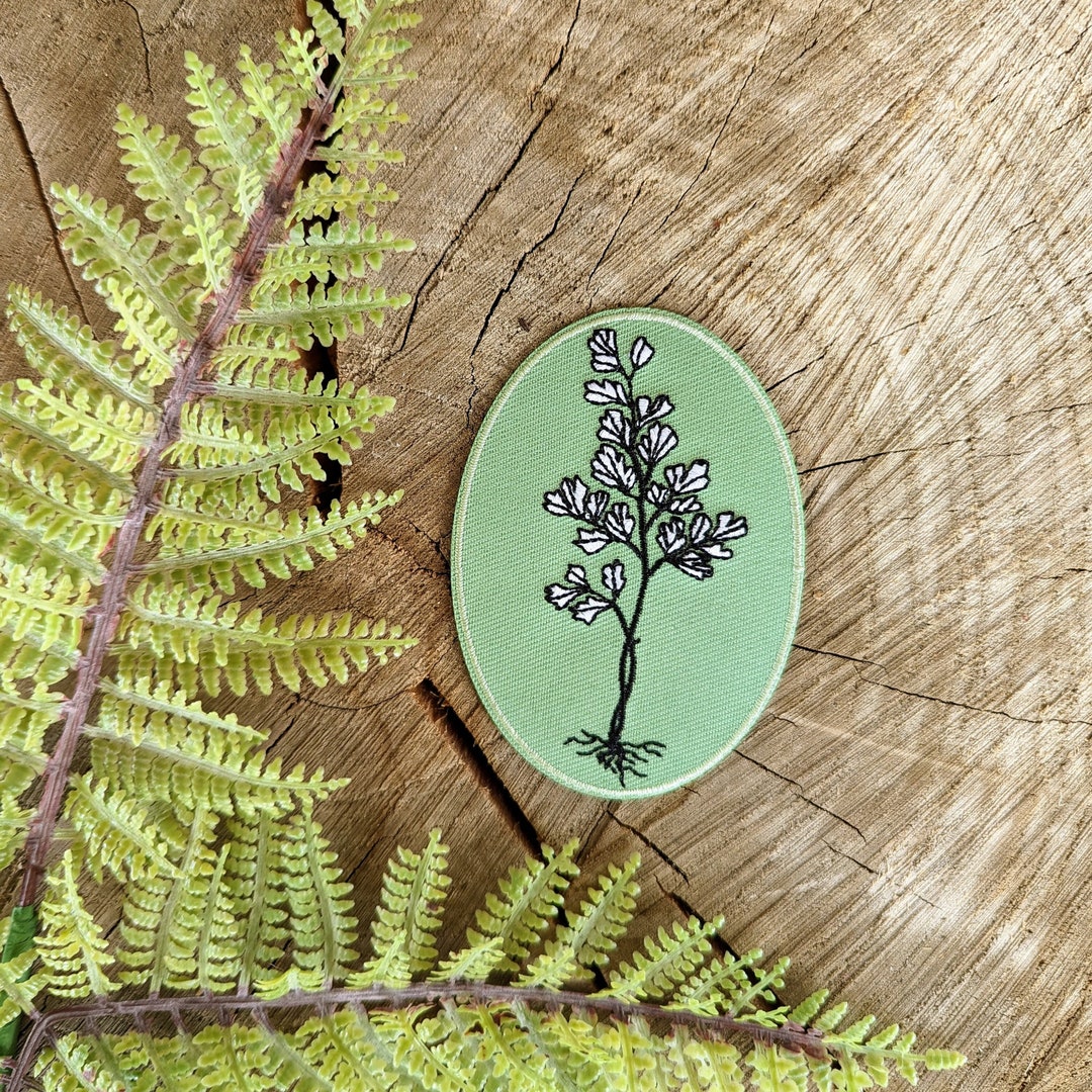 Maidenhair Fern Patch: Embroidered Iron-on Green Applique Accessory ...