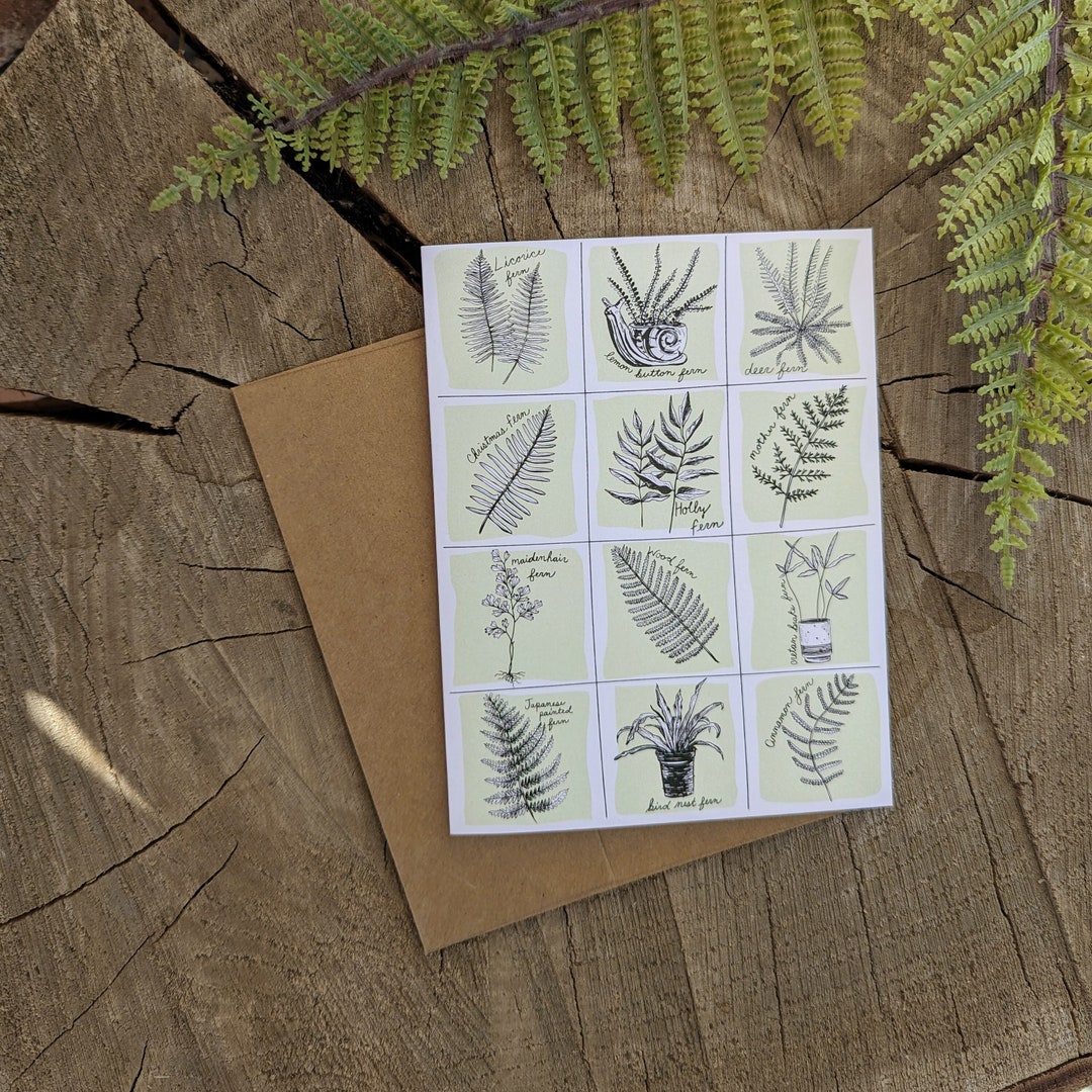 Greeting Card | Fern Card | Plant Card | Anytime Card | Fern Drawing ...