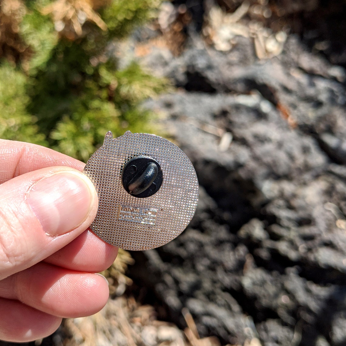 Arizona Pin Arizona Enamel Pin Cactus Pin Cacti Pin - Etsy