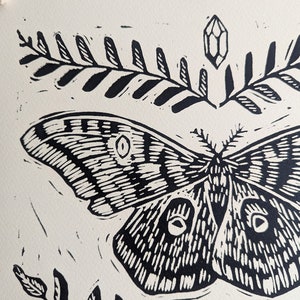 Block Print Moth | Moth Print | Moth Blockprint | Moth Linocut | Moth ...