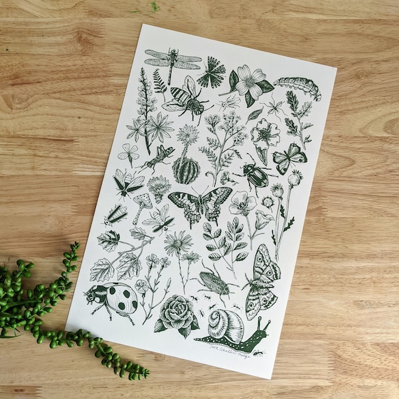 Bug Art Print Plant Art Print Plant Art Insect Art Art | Etsy