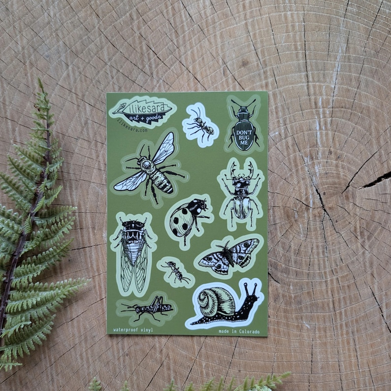 Insect Sticker Sheet : Vinyl Waterproof Bug Decal - Bee, Ant, Cicada ...