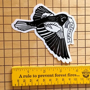 Colorado Sticker | Bird Sticker | Lark Bunting Sticker | Bird ...