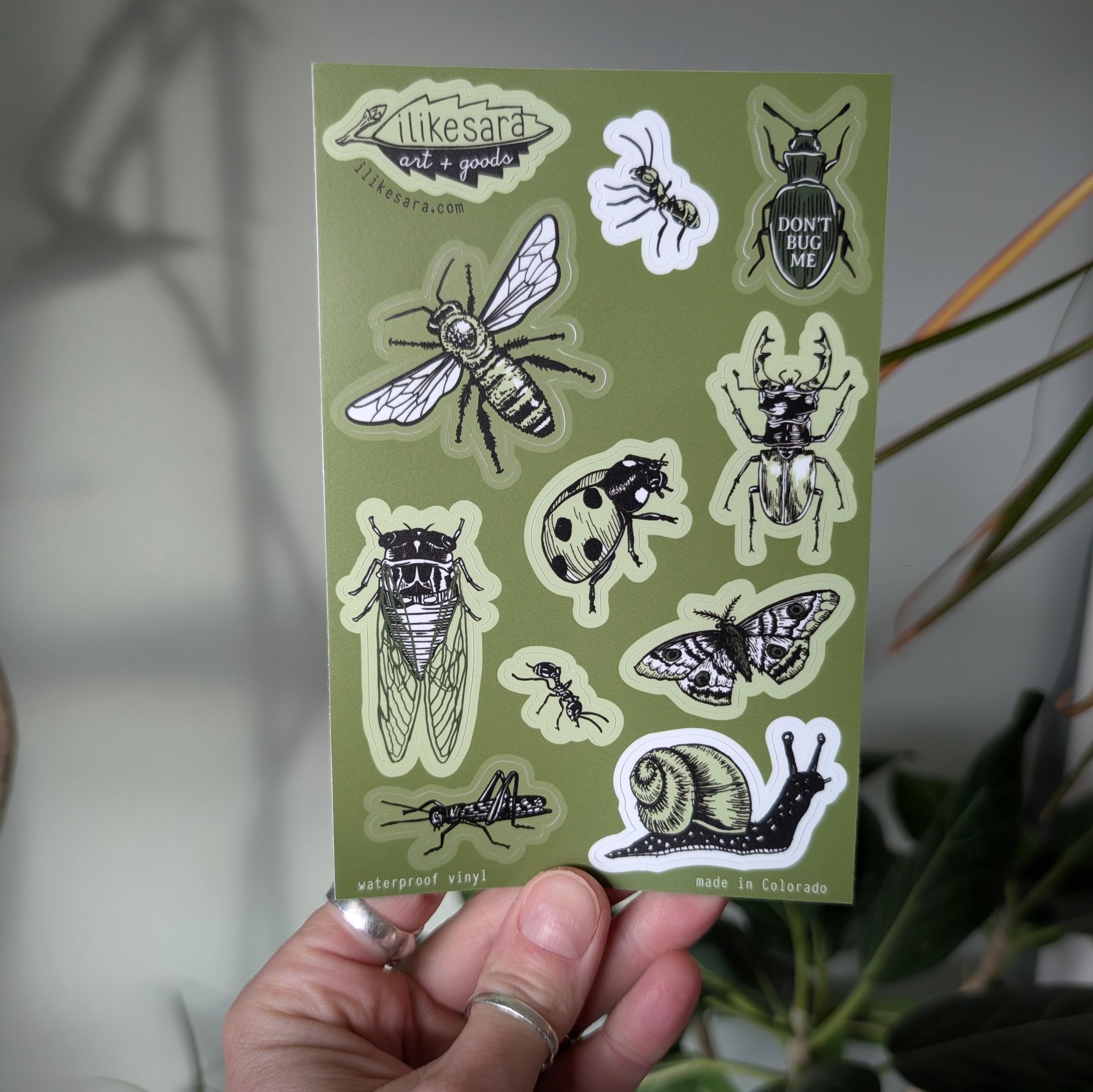 Insect Sticker Sheet : Vinyl Waterproof Bug Decal - Bee, Ant, Cicada ...