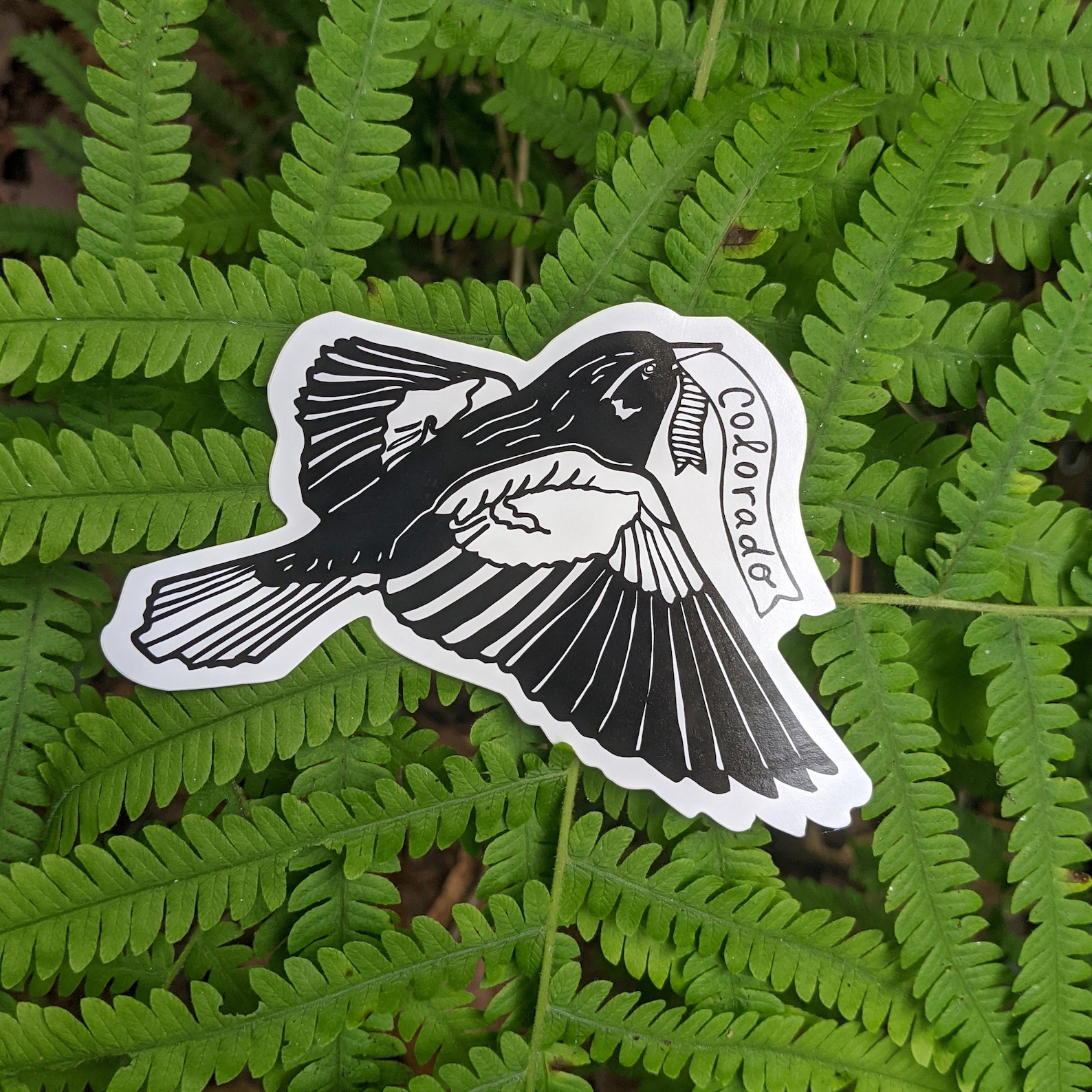 Colorado Sticker Bird Sticker Lark Bunting Sticker Bird Illustration ...