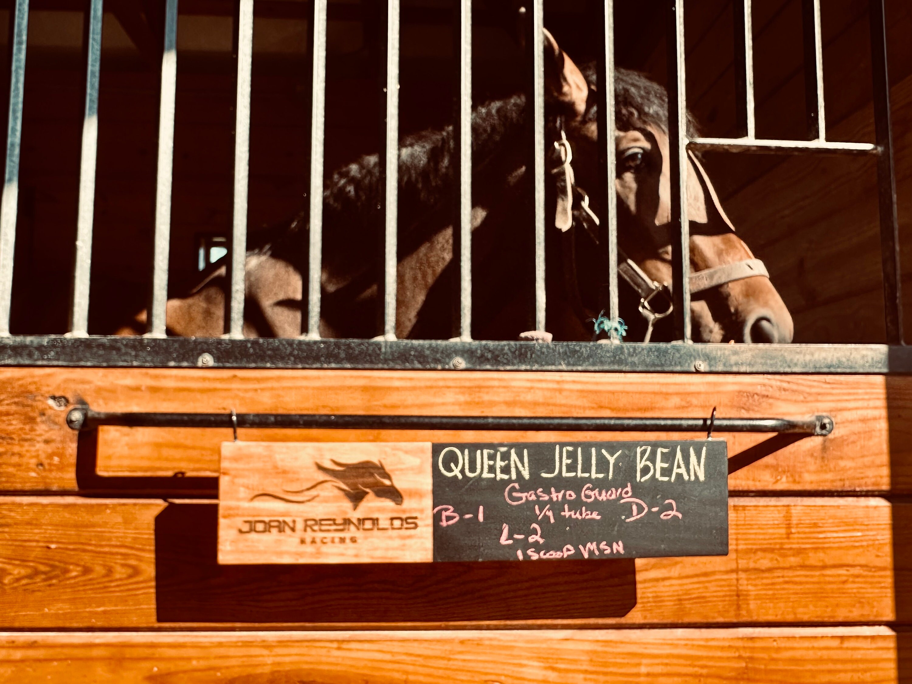 Custom Horse Stall Signs - Etsy