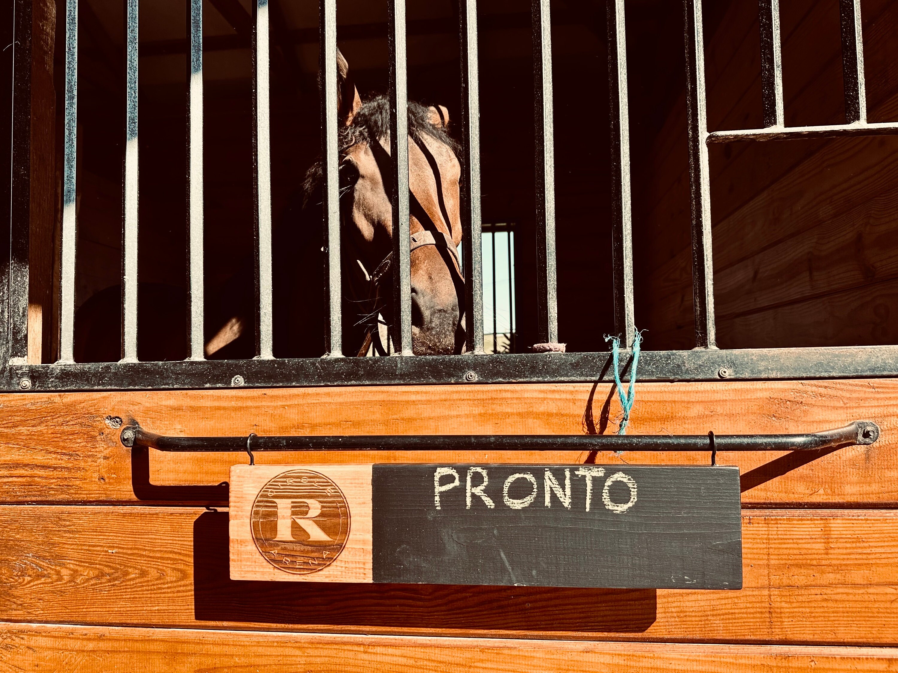 Custom Horse Stall Signs - Etsy