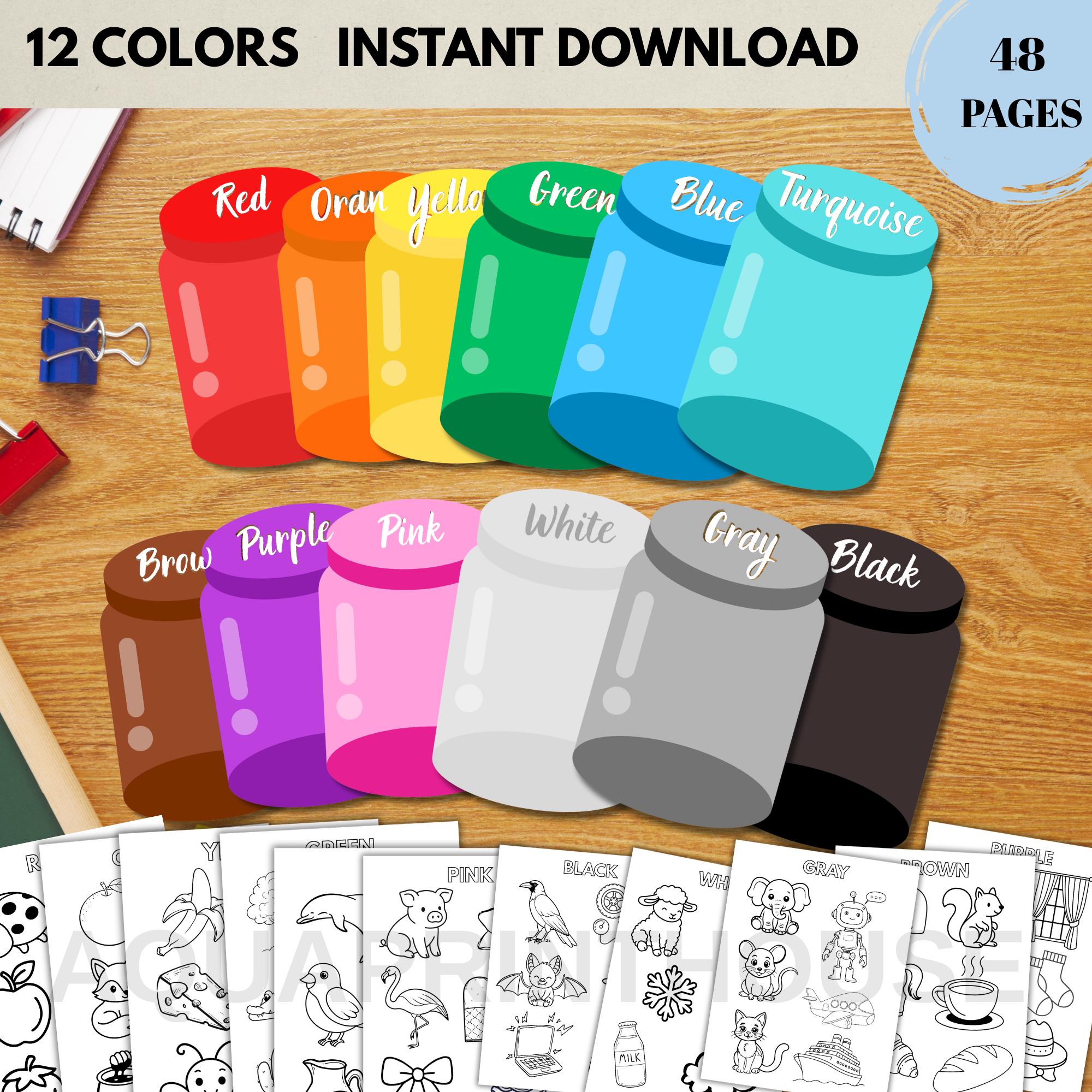 Color Matching Game, Montessori Printable, Preschool Activity (digital ...
