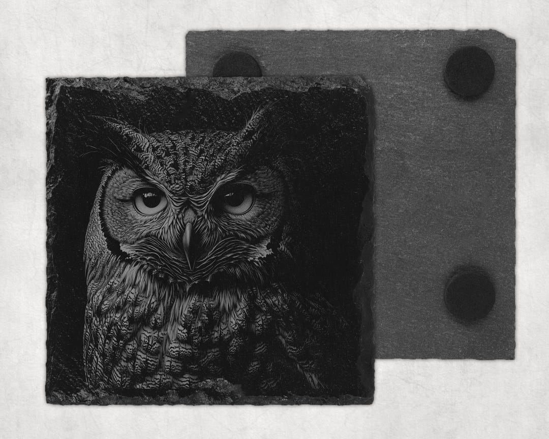 Laser Engraved Owl Slate Coaster - Rustic Drink Coaster - Etsy UK