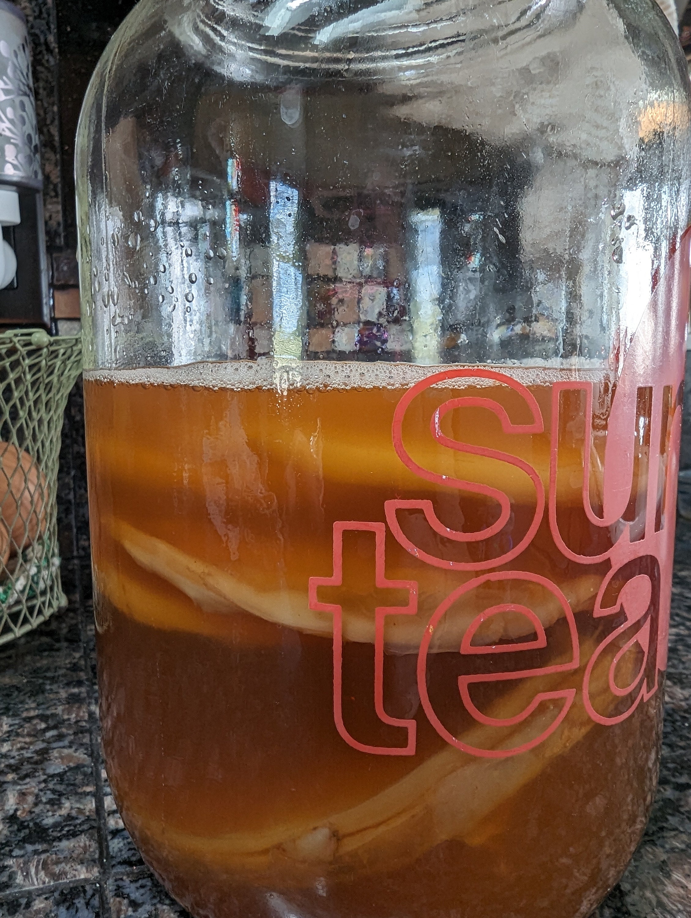 Organic Kombucha SCOBY Pellicle and Starter Tea - Etsy
