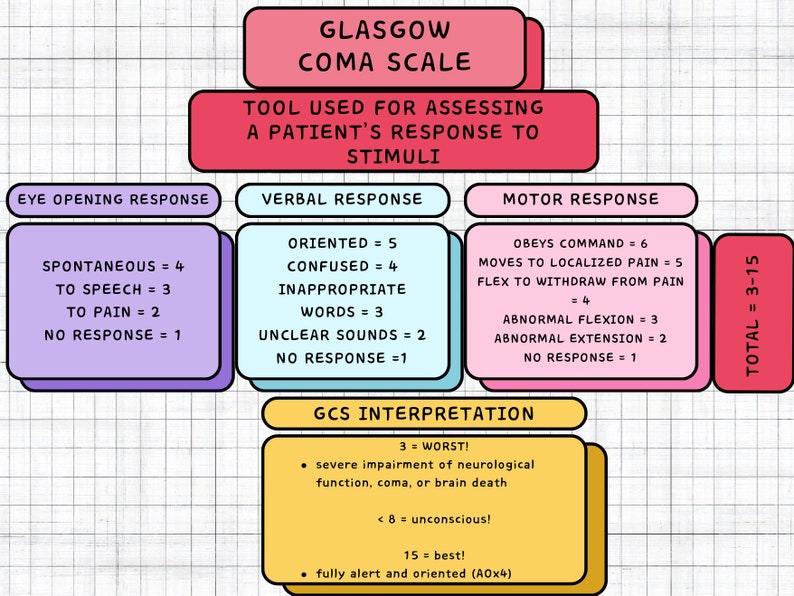 Neurological Assessments Cheat Sheet - Etsy