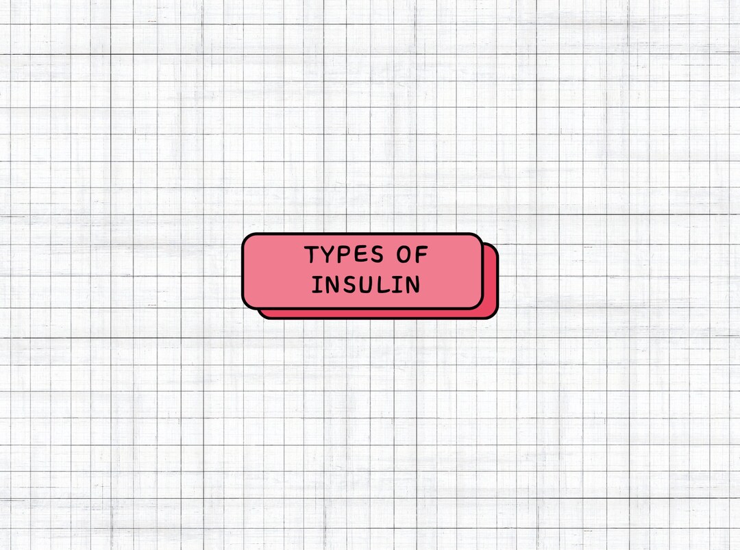 Types of Insulin Study Guide - Etsy