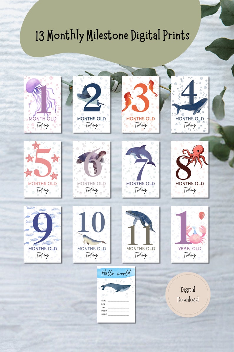13 Under the Sea Baby Milestone Cards, 4x6in Printable Monthly Cards ...