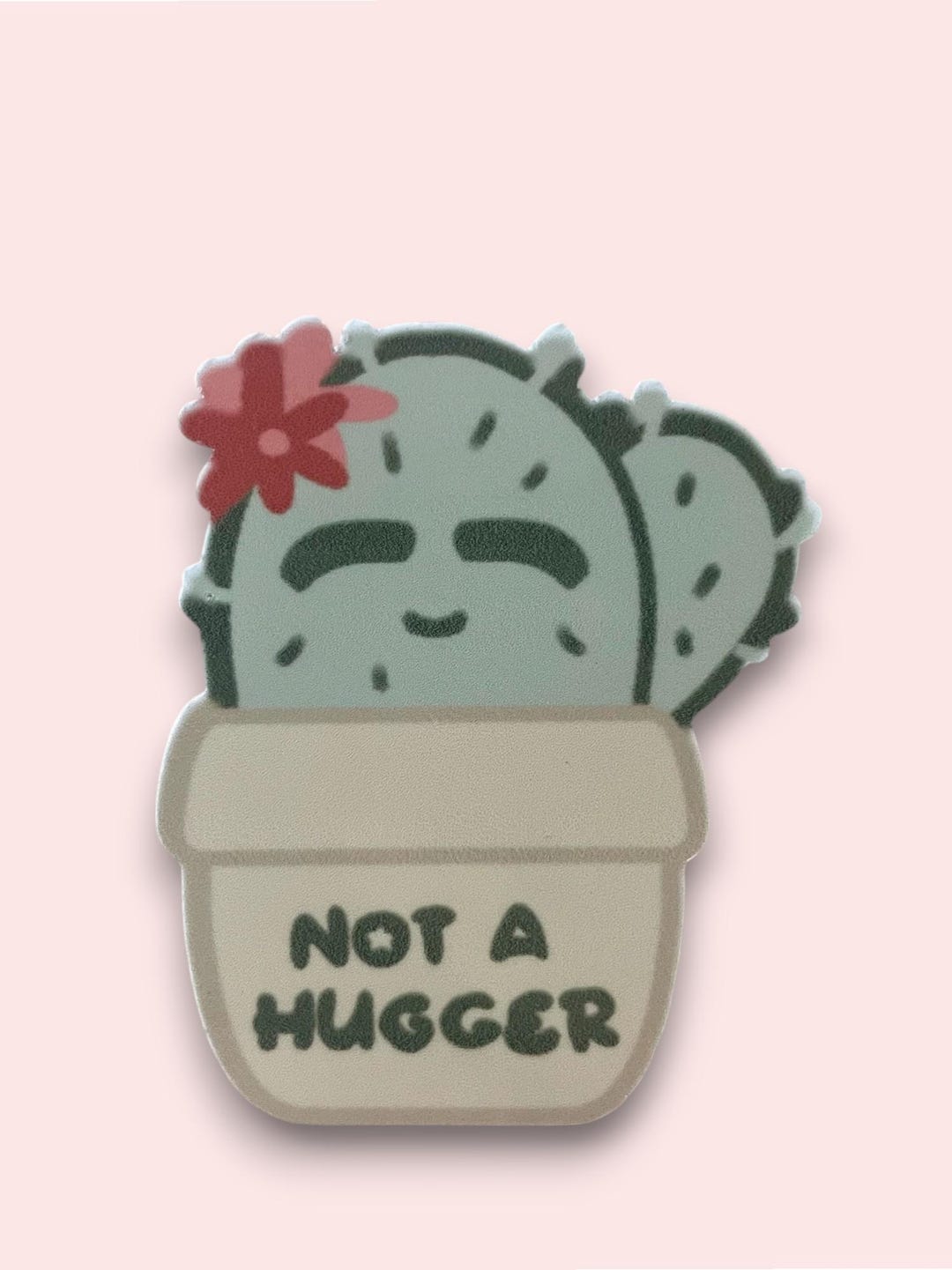 Not a Hugger Sticker, Not a Hugger Cactus, Cactus Sticker, Meme Sticker ...