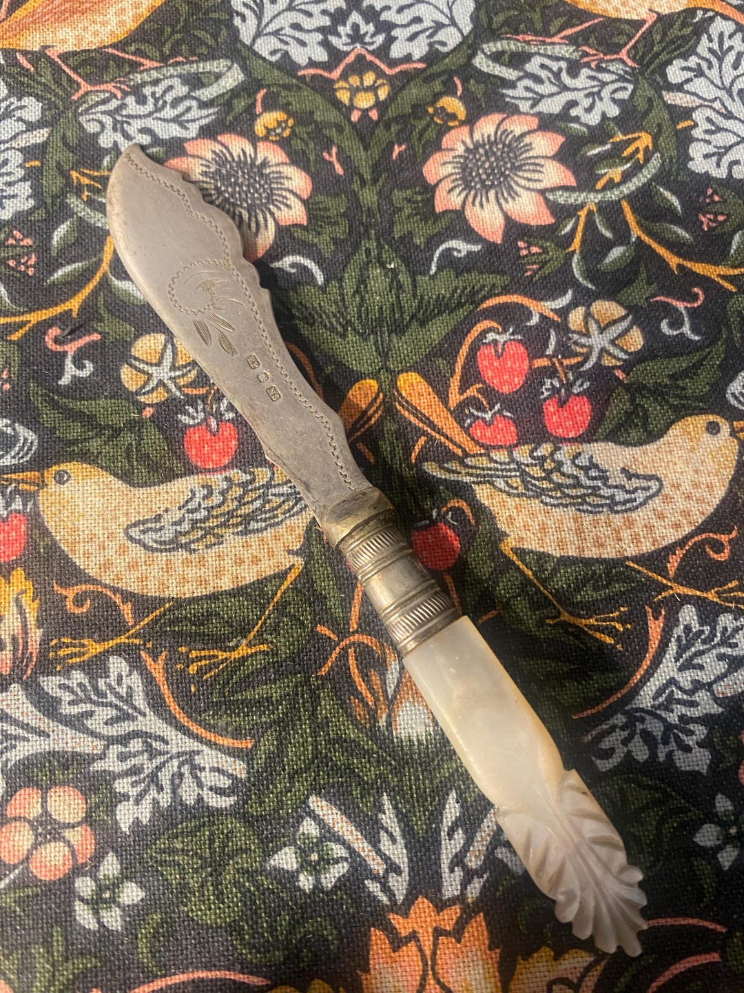 Mother of Pearl and EPNS Engraved Butter Knife - Etsy