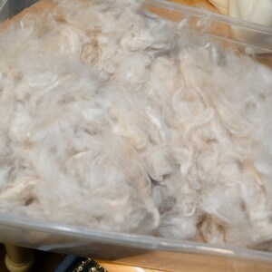 Angora Rabbit Wool Light Creme One Ounce - Etsy