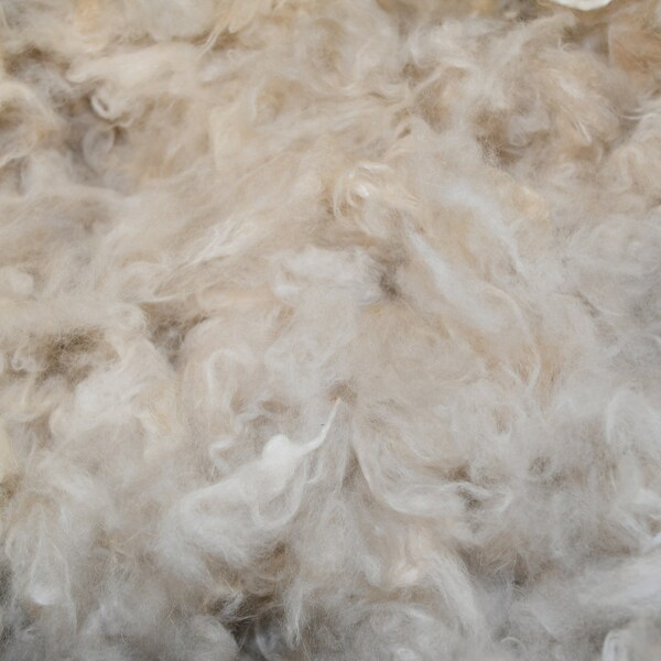 Angora Fiber - Etsy