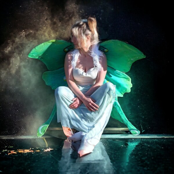 Moth Costume - Etsy