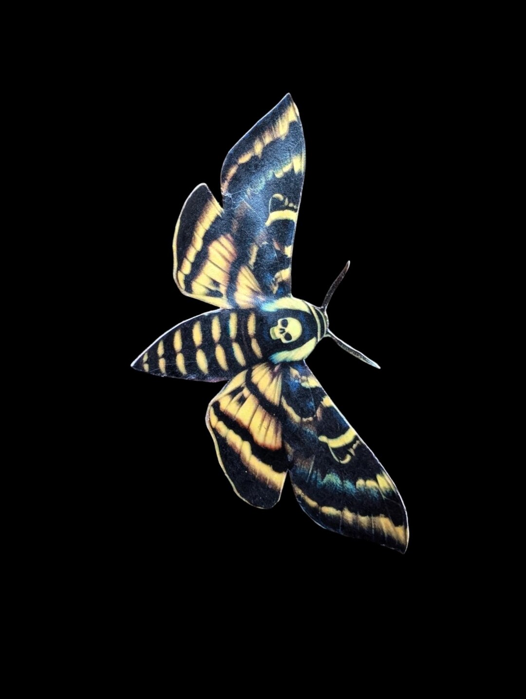 Med Death Head Moth Hair Pin Unique and Handmade. Gothic Hair Clip ...