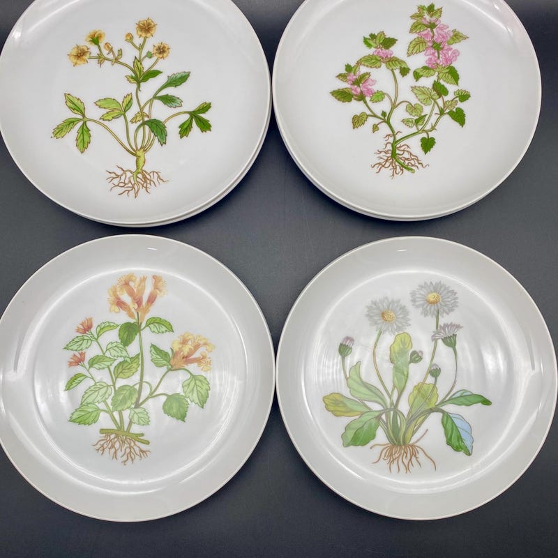 Botanical Plates - Etsy