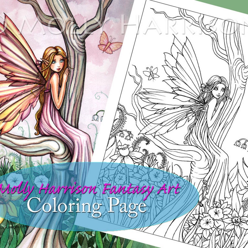 Molly Harrison - Etsy