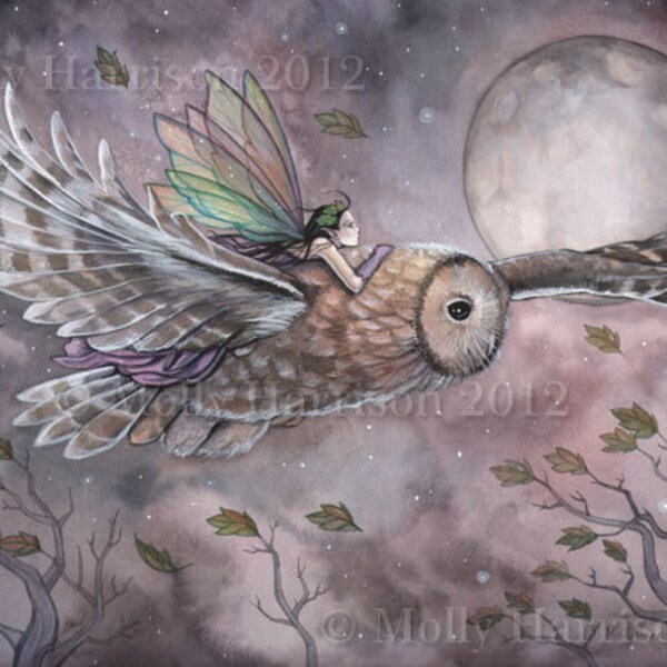Fairy Owl - Etsy