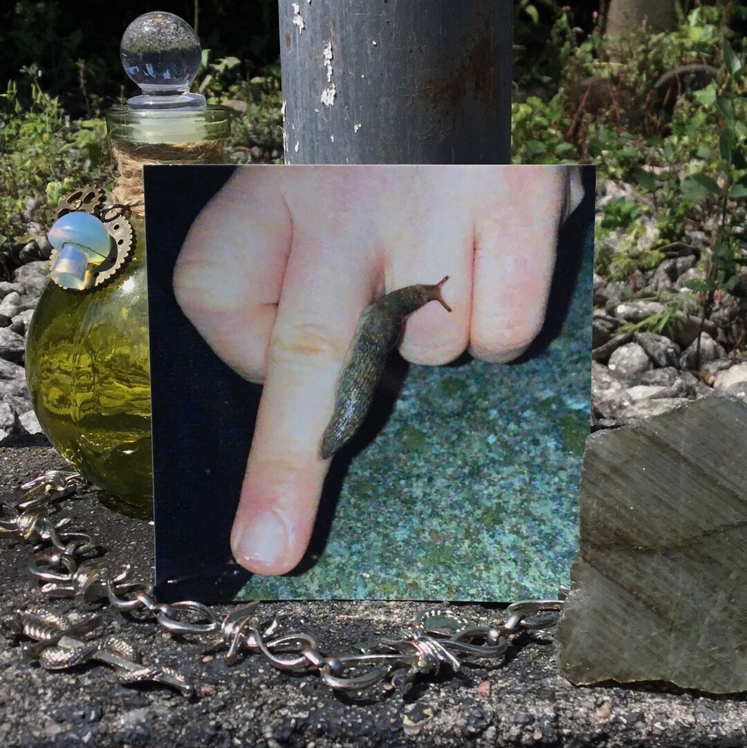 Middle Finger Slug Physical Photo Print 4x4 Inch - Etsy