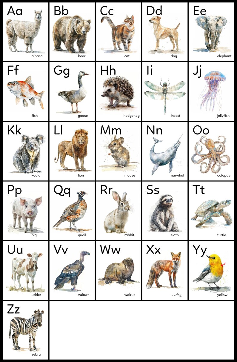 Phonetic Alphabet, Alphabet Templates, Zoo Phonics, Alphabet Flashcards ...