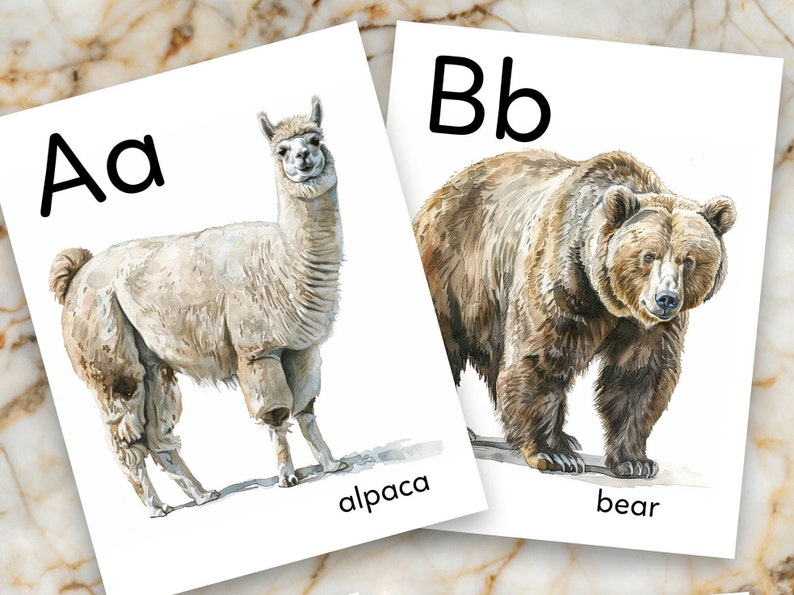 Phonetic Alphabet, Alphabet Templates, Zoo Phonics, Alphabet Flashcards ...