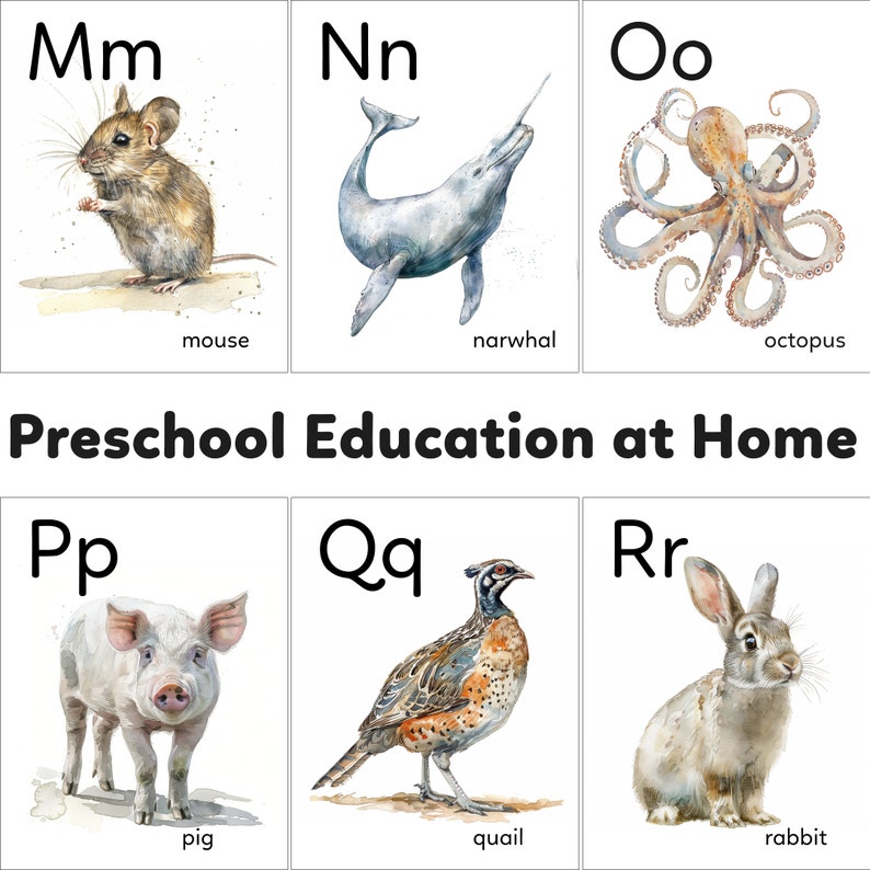 Large Phonetic Alphabet Printable Flashcards Abcd Learning Print Board ...