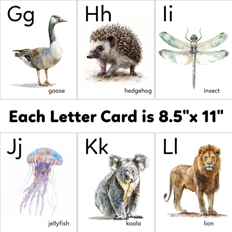 Phonetic Alphabet Flashcards Poster Abc Phonics Homeschooling Preschool ...