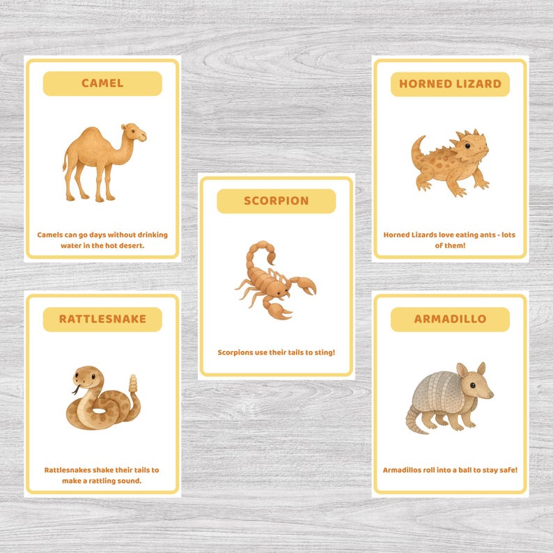 Printable Desert Habitat Animal Flashcards – 21 Cards, 3 Sizes ...