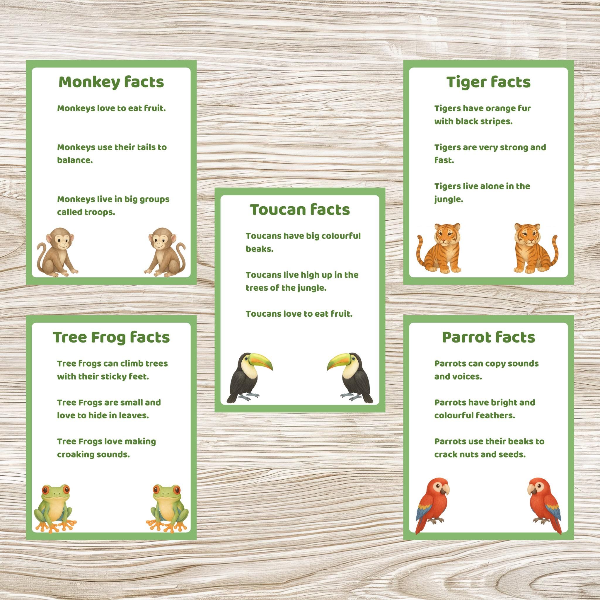Jungle Animal Flashcards Printable – Educational PDF for Kids ...