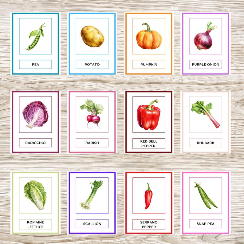 Printable Vegetable Flashcards | 58 Educational Cards | Montessori ...