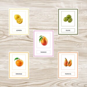 Printable Fruit Flashcards | 32 Educational Cards | Montessori ...