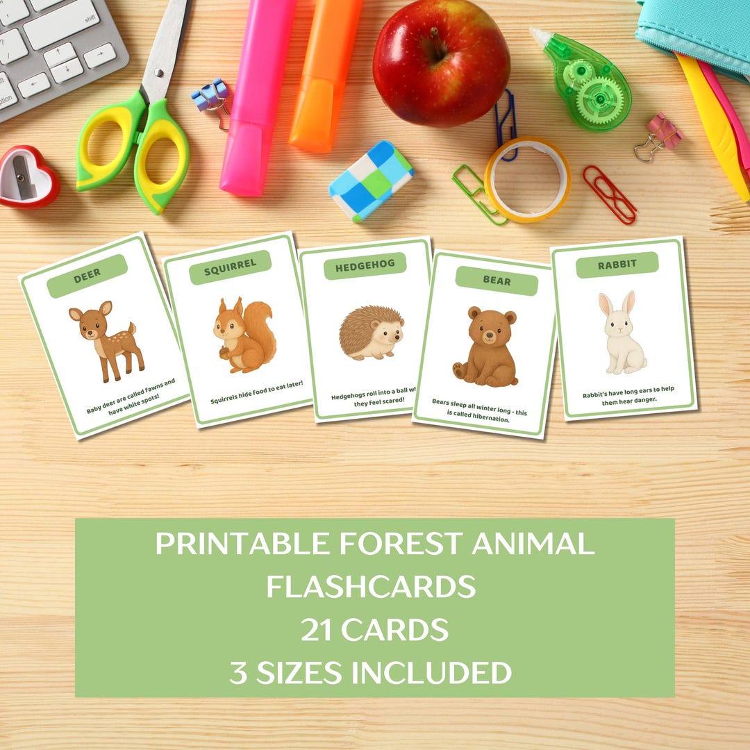 Forest Animal Flashcards – Printable Educational Resource | 21 PDF ...