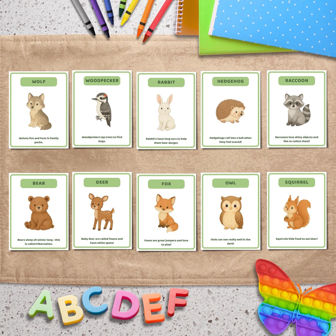 Forest Animal Flashcards – Printable Educational Resource | 21 PDF ...