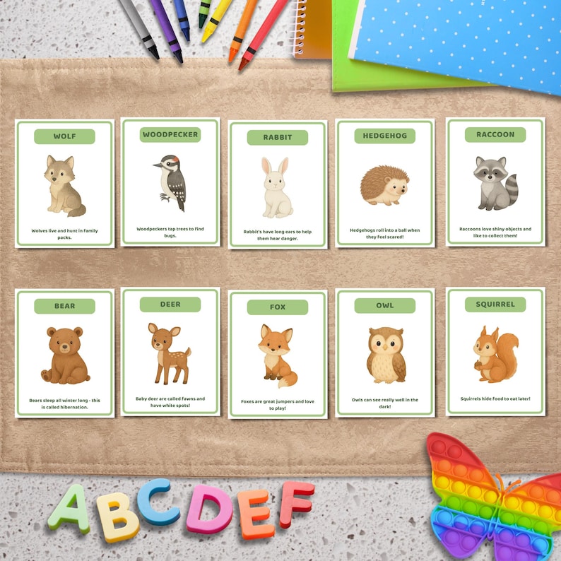 Forest Animal Flashcards – Printable Educational Resource | 21 PDF ...