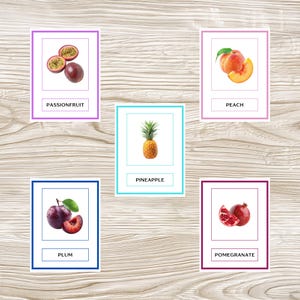 Printable Fruit Flashcards | 32 Educational Cards | Montessori ...