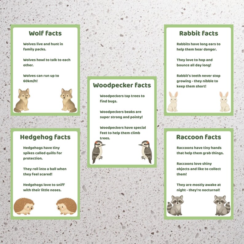 Forest Animal Flashcards – Printable Educational Resource | 21 PDF ...