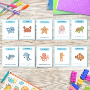 Ocean Animal Flashcards for Kids | Printable PDF | Early Learning ...